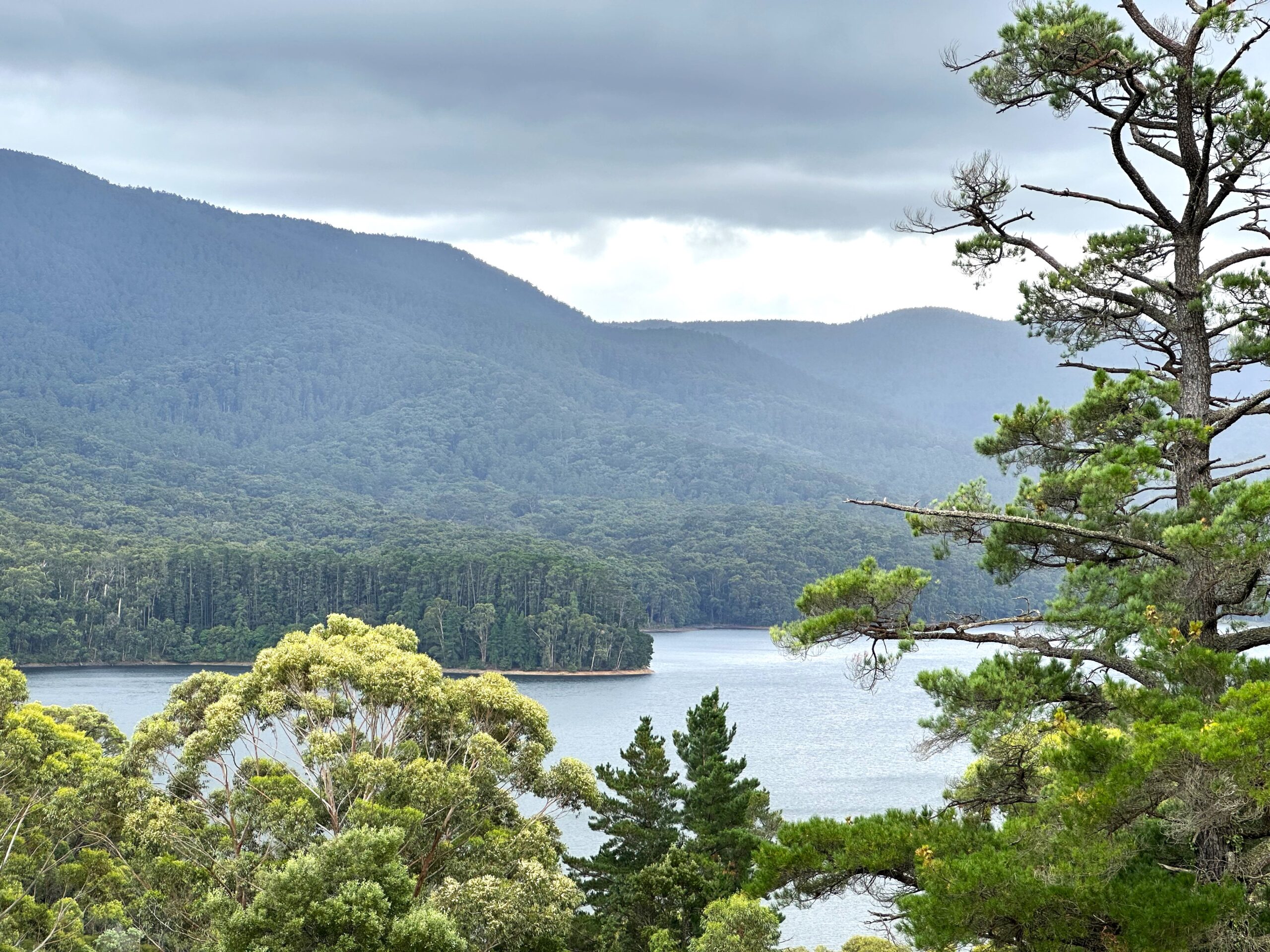 Day Trips from Melbourne - Yarra Valley - TRAVELS WITH MARYANNE
